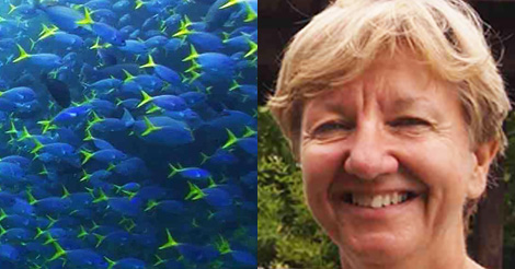 The Journey Continues | Honoring Helen Newman